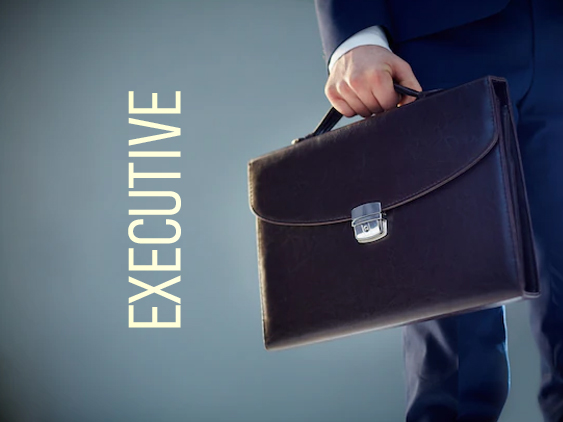 Ariel Group Acquires Executive Coaching Connections to Expand ...