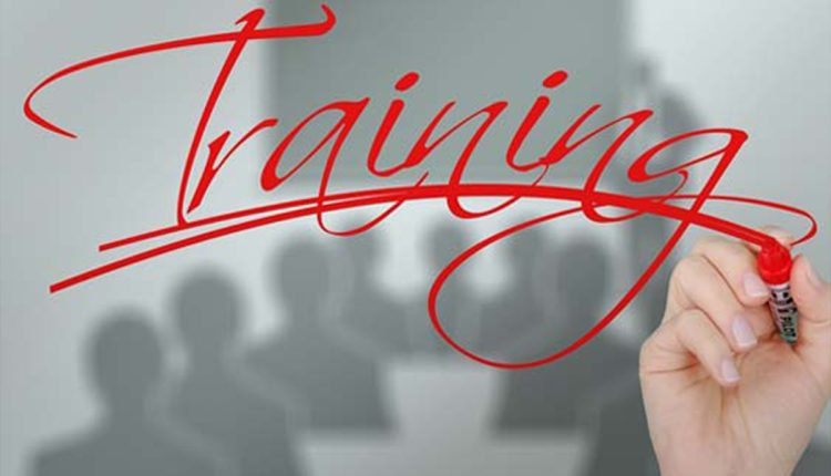 WILL Interactive Introduces Willow: The New AI Learning Coach ...